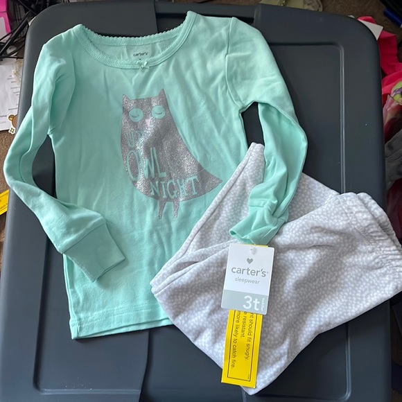 Carter's | Pajamas | Nwt Carters Owl Pj Set | Poshmark
